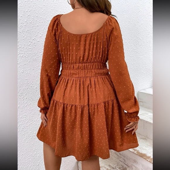Dresses | Plus Size Rust Brown Swiss Dot Tie Front Dress | Poshmark